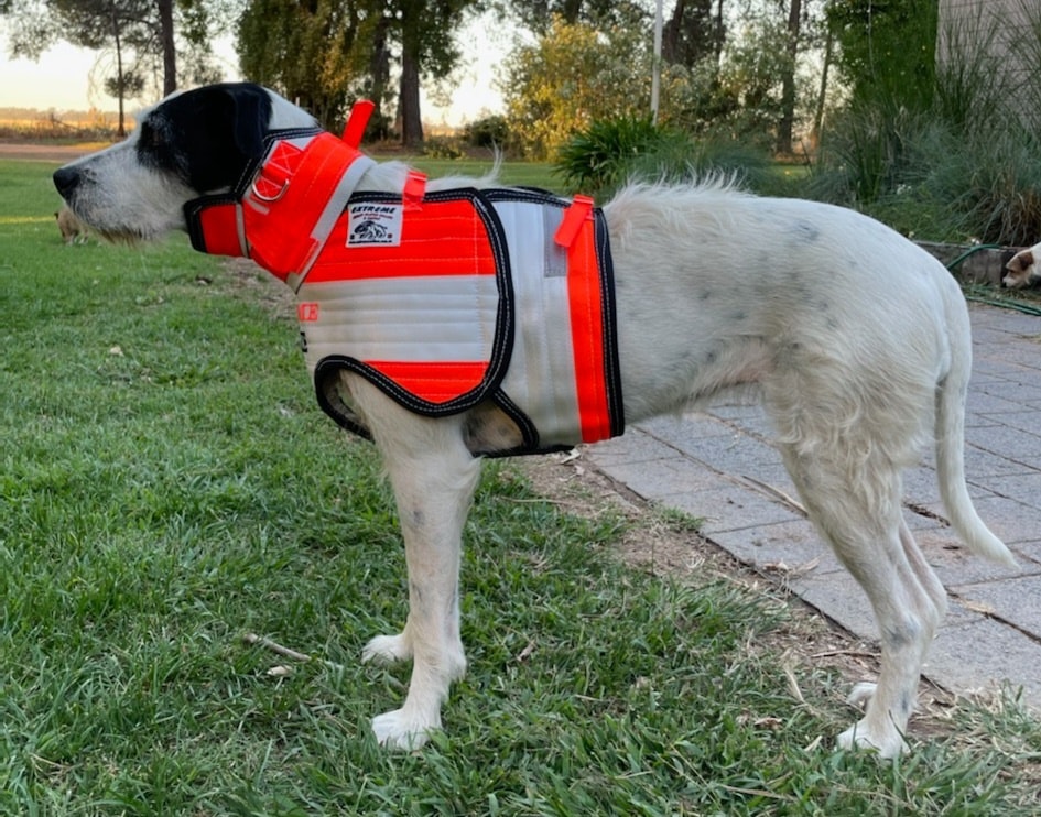 EXTREME™ Full Step-In Custom Made Chest Plate